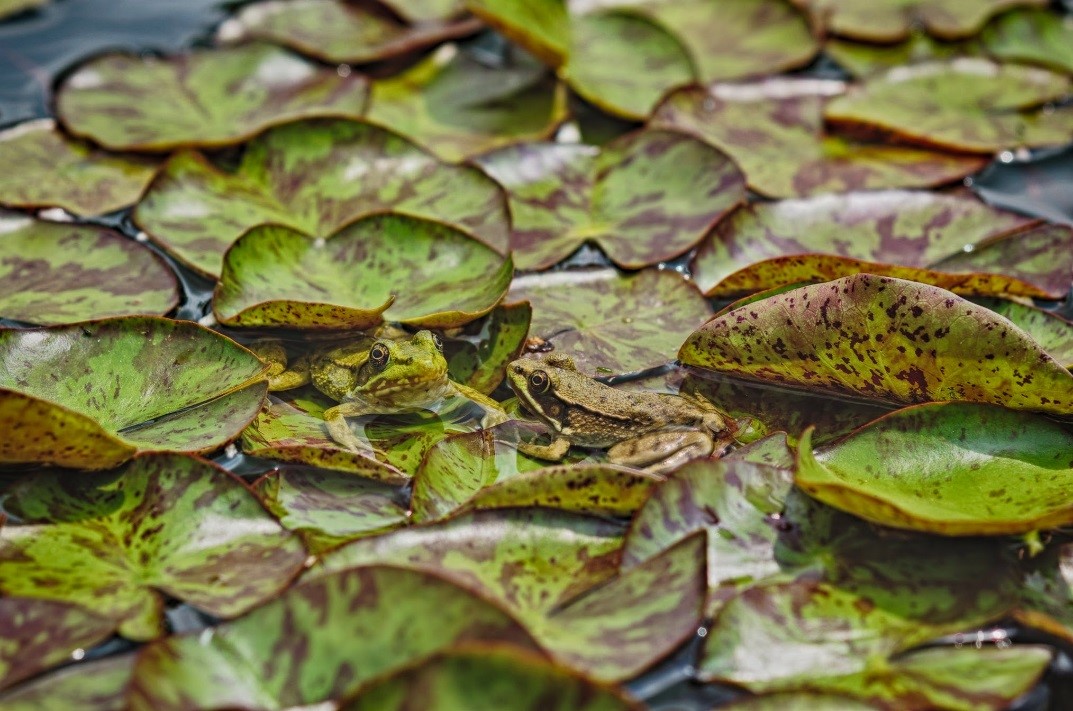 Noticing the Patterns in Everyday Life – A Spiritual Break