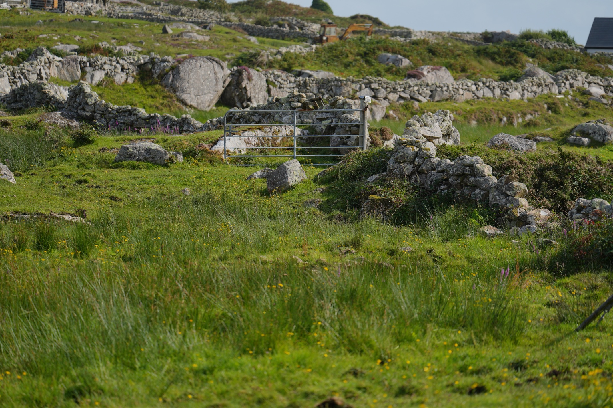 Life Lessons from Ireland’s Single Track Roads – A Spiritual Break